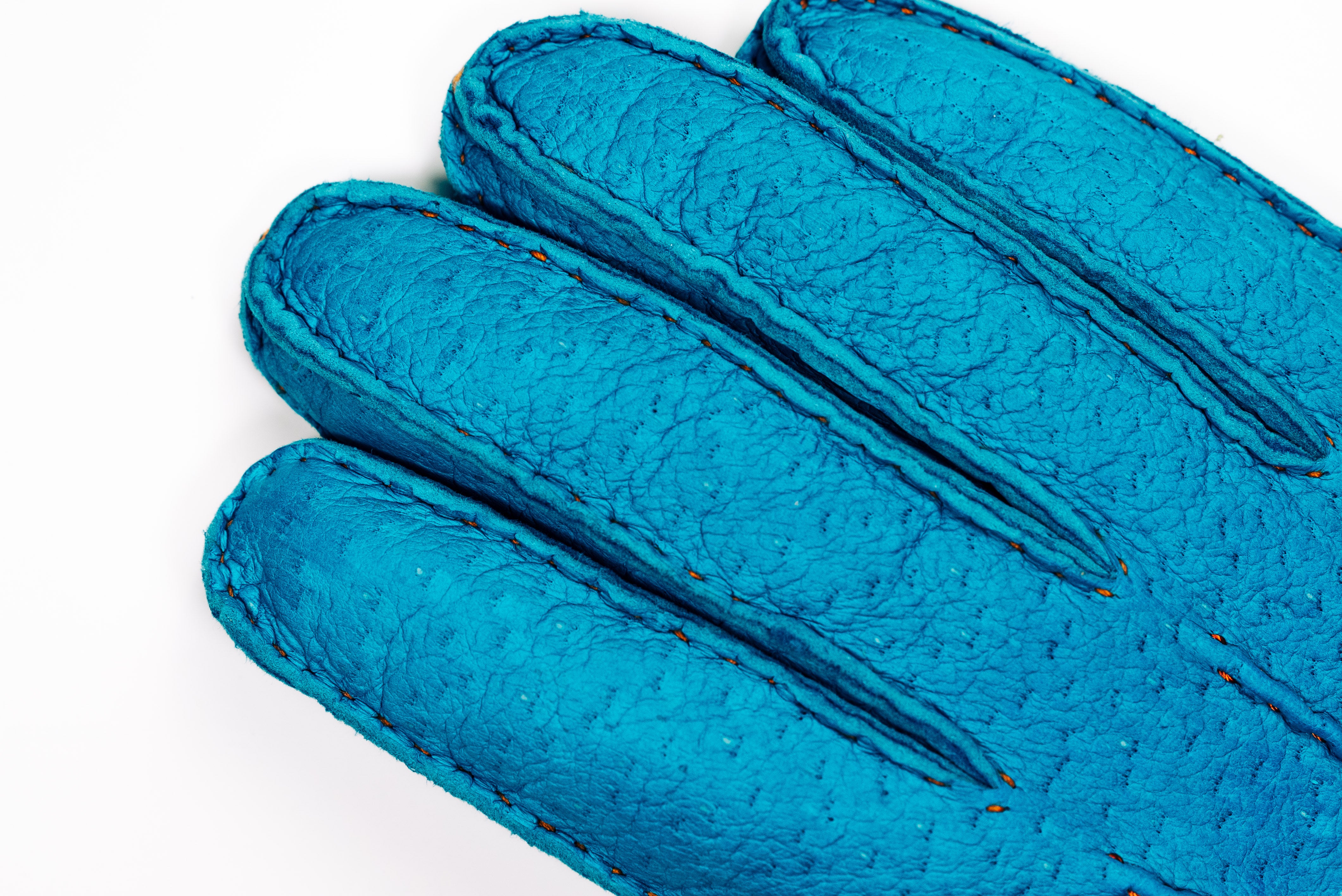 Peccary | Light Blue – Raspberry x Seven